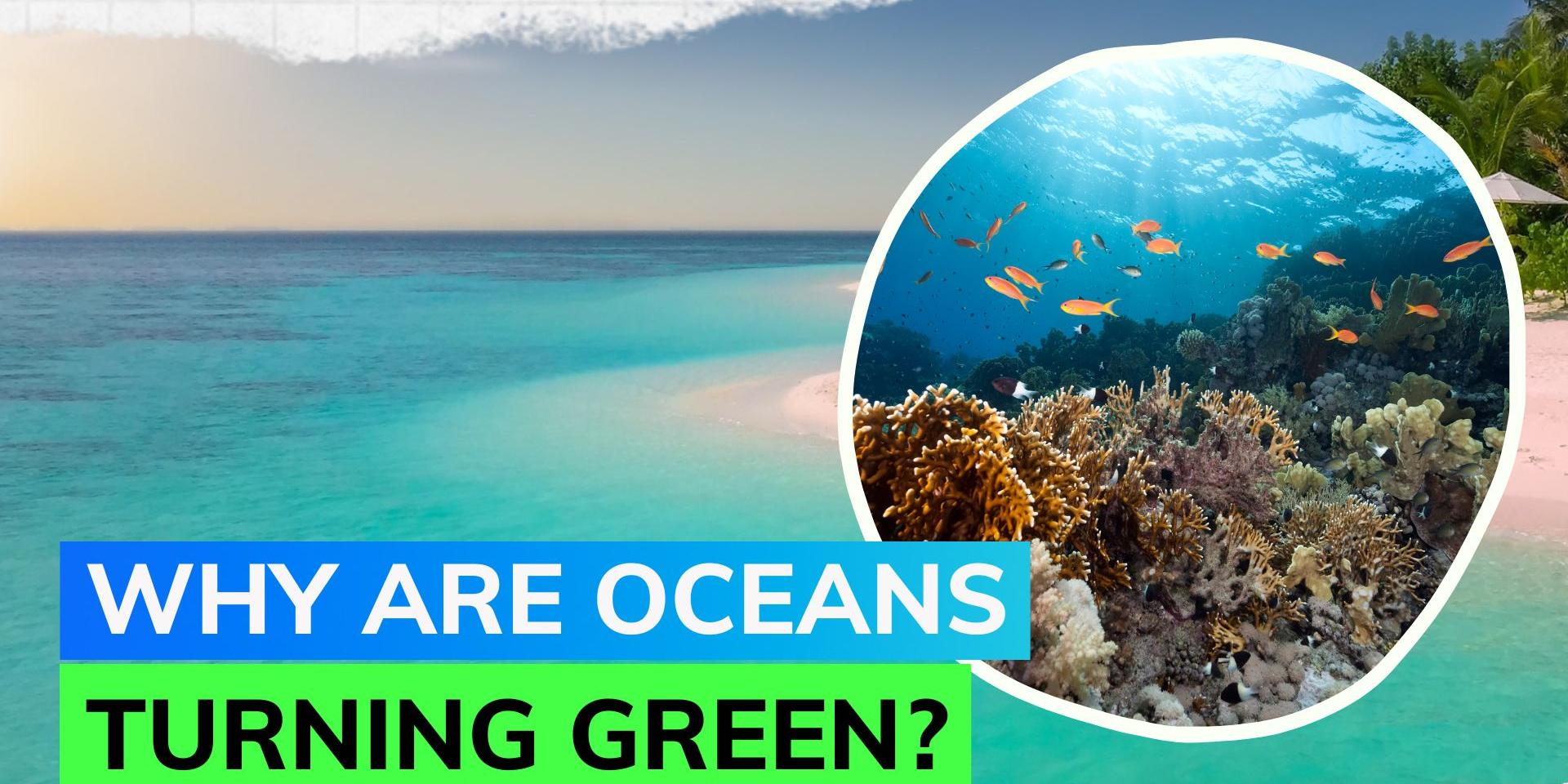 Oceans are changing colour due to climate change, research finds | Editorji