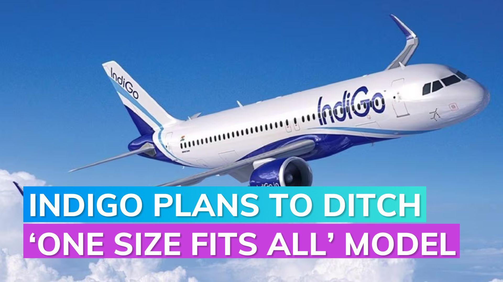 Indigo plans to introduce premium class to attract business flyers ...