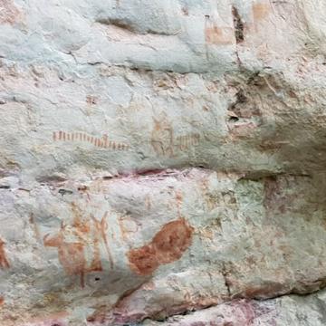 Rock painting of Ice Age creatures discovered in Amazon rainforest ...
