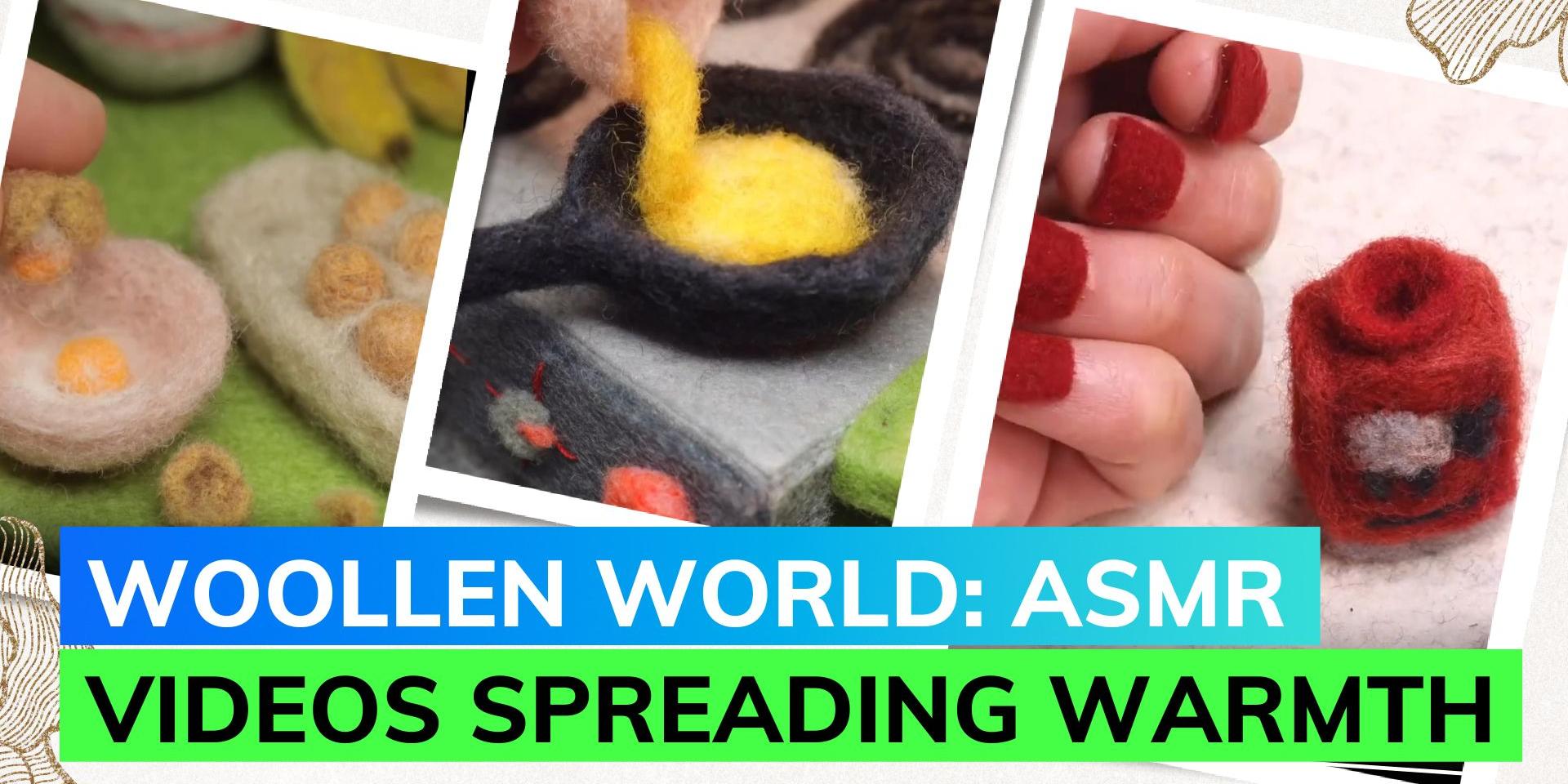 Wooly wonders: These stop motion animation videos with wool is taking ...