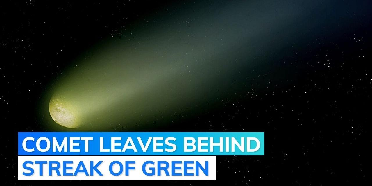 Watch: rare ‘green comet’ makes first appearance in 50,000 years | Editorji