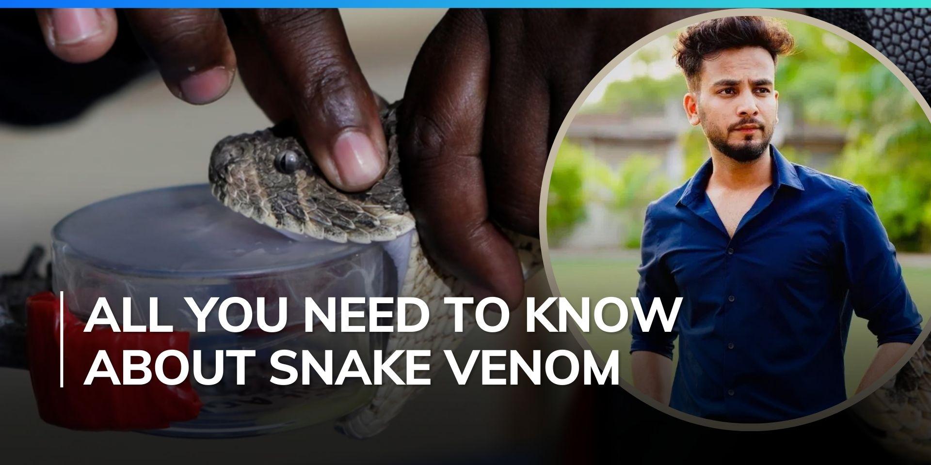 Elvish Yadav case: What is snake venom and how does it affect human ...