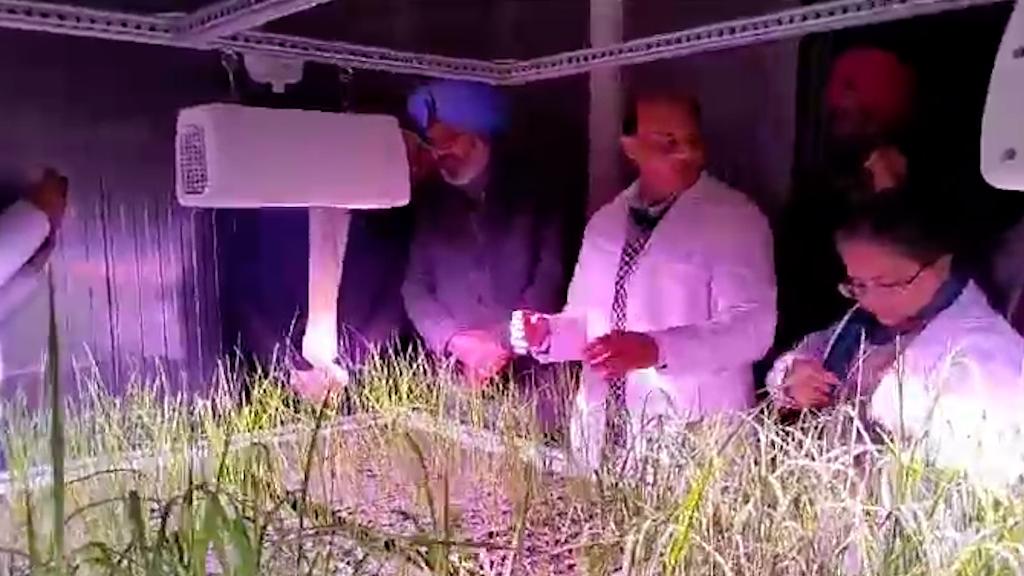 Minister Cheema inaugurates India‘s first hi-tech Speed Breeding ...