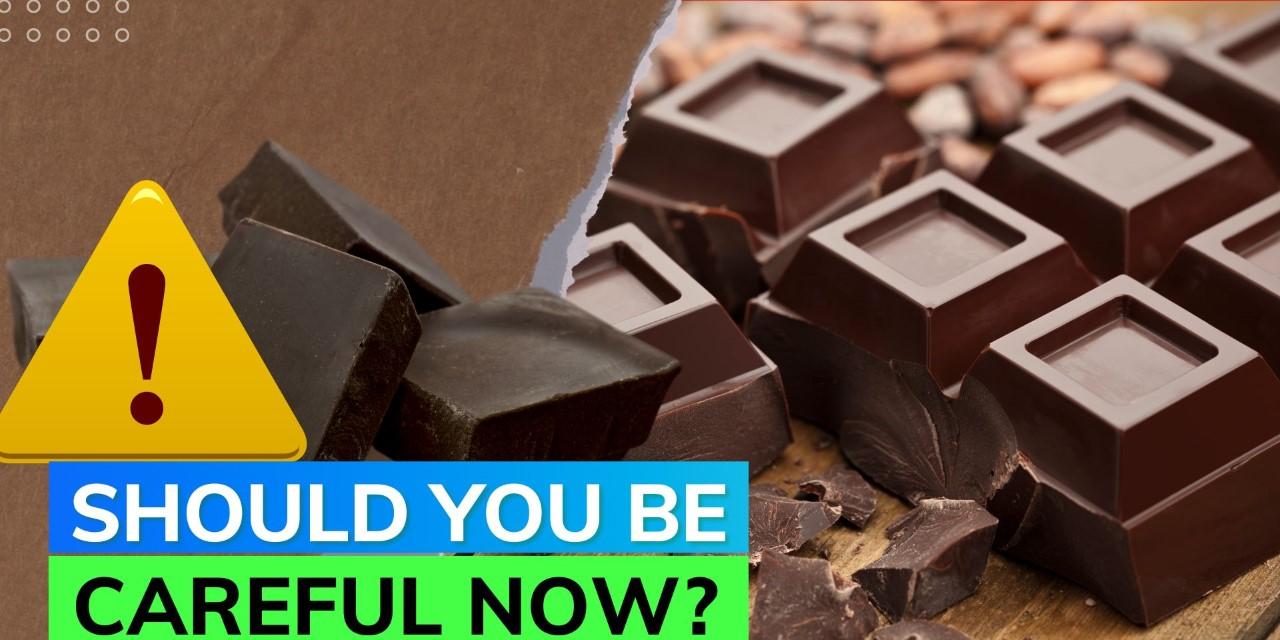 Are dark chocolates bad for your health? Here‘s what study reveals ...