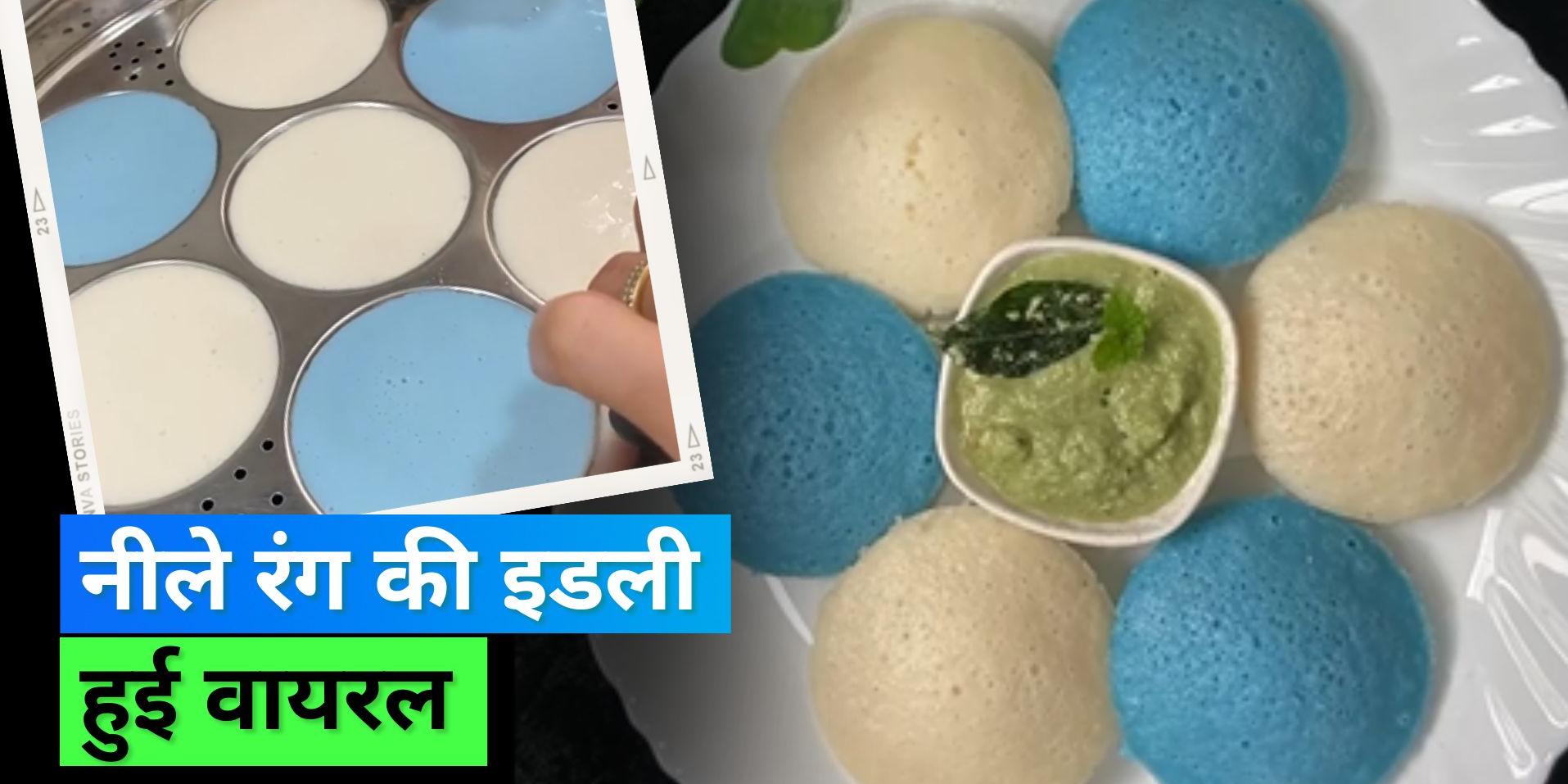 Blue Idli: Woman makes blue idlis using butterfly pea flowers - Blue ...