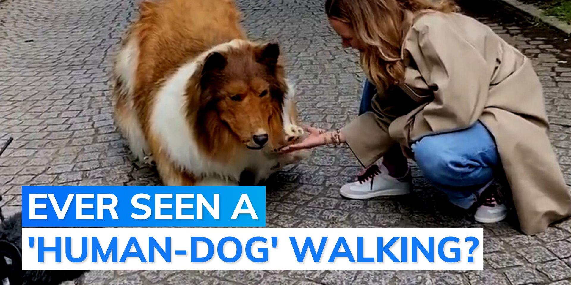 Video: Japanese man who turned himself into a dog takes first walk in ...